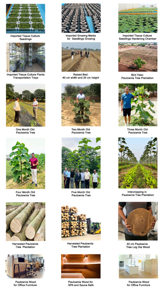 Agroforestry – farmer.org.in